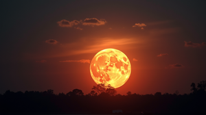 Lunar Sunsets: Experiencing the Cosmic Wonder from the Moon